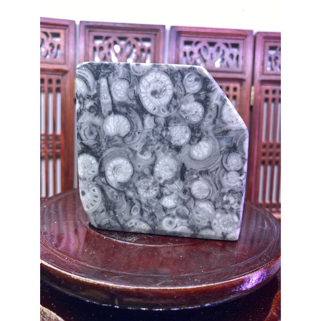 Premium Grade Ammonite Crystal Quartz (螺化石)-480g | Shopee Malaysia