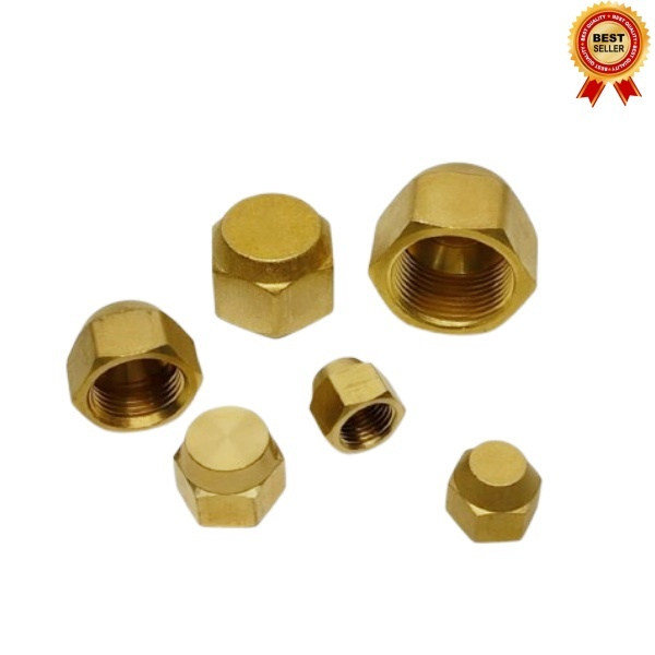 Penutup Hujung Paip Tembaga Brass Blocking Plug Inner Tread Plug Copper ...