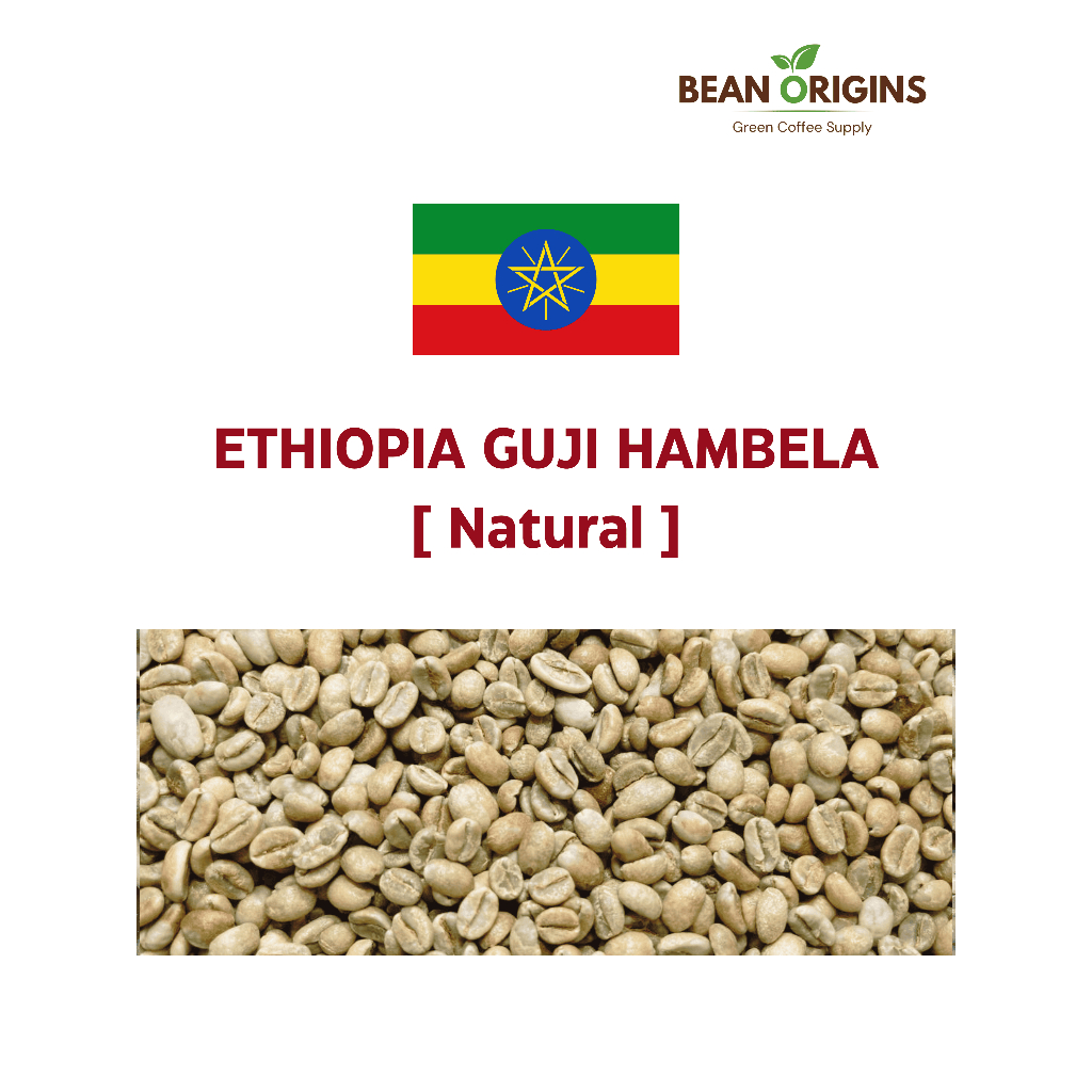 Unroasted Ethiopia Guji Hambela Natural Grade 1 Hand-Sorted Arabica Raw Coffee Bean I 400g I 1kg ...