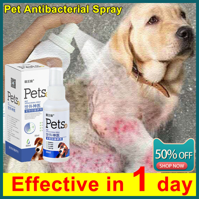 Pets Skin Treatment Spray Antifungal Anti Flea Itch Pet skin care ...