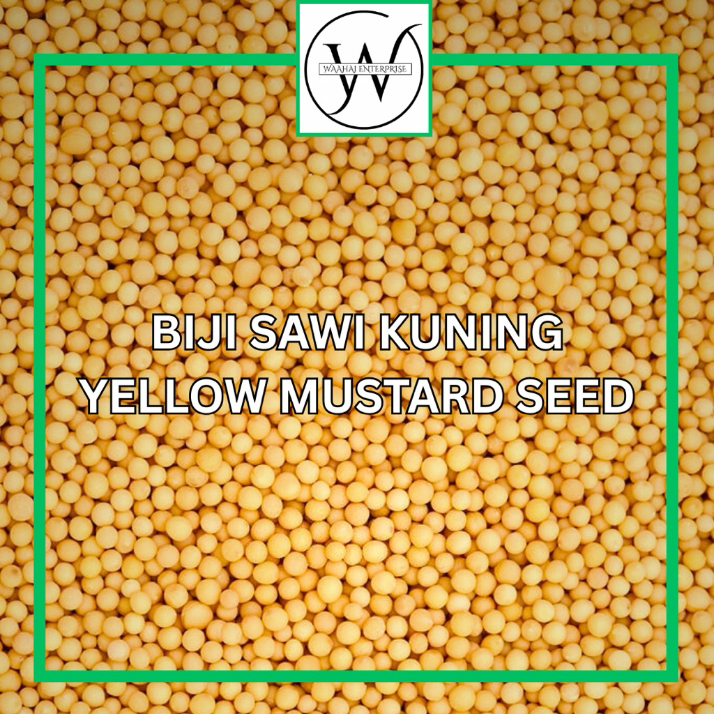 Biji Sawi Kuning/Yellow Mustard Seed (500G/1KG) | Shopee Malaysia