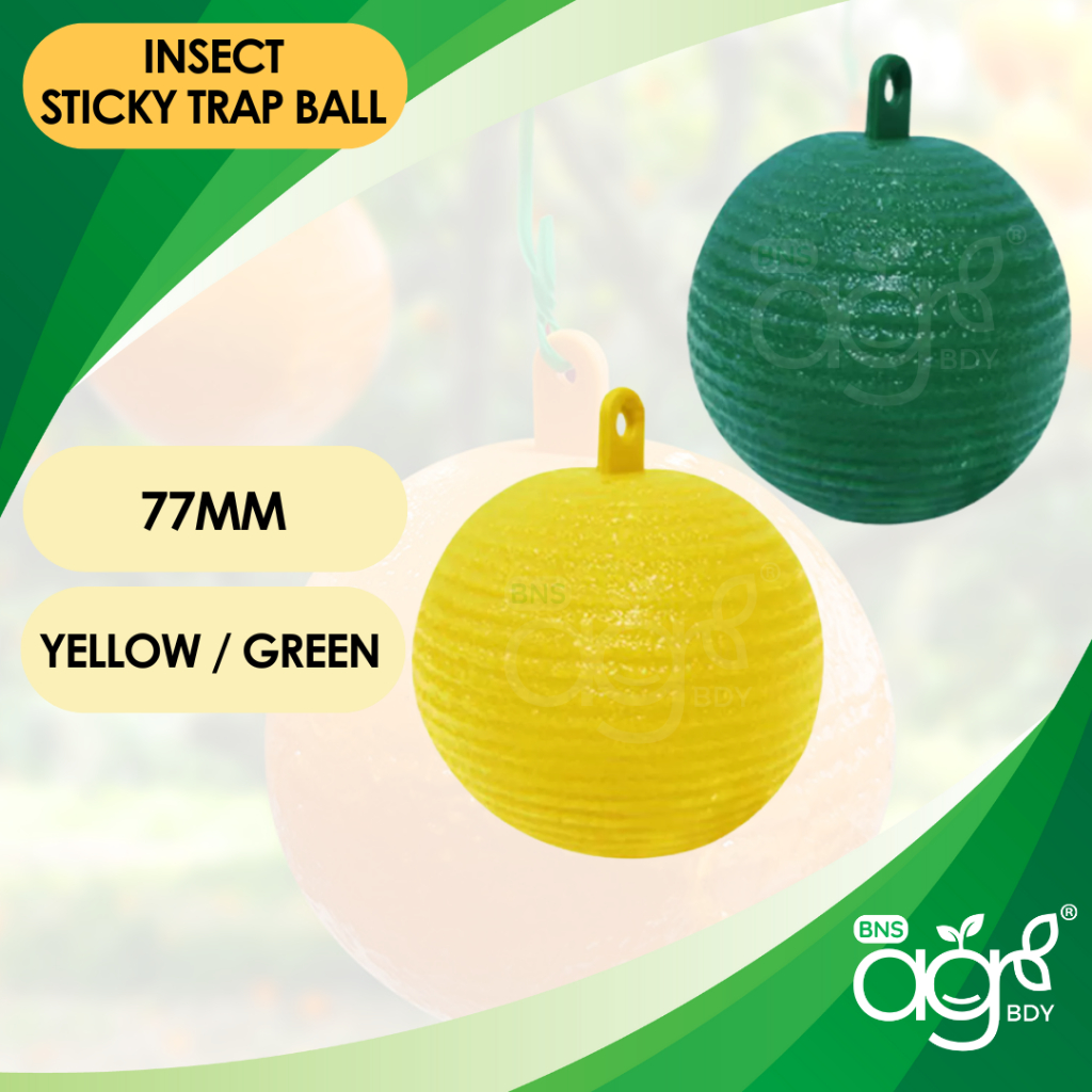 77mm AgroBuddy Bola Perangkap Serangga Lalat Buah Melekit | Sticky Trap ...