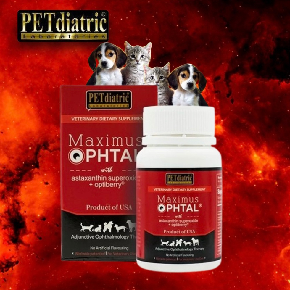 PETdiatric Maximus Opthal®, 60 tablets Eyes and Ophthalmology Health ...