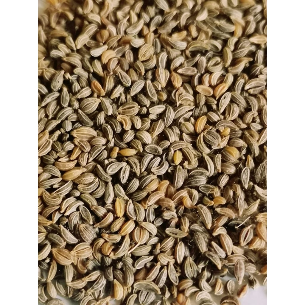 KHN -HENG CHAI/RAM JEE/ LAM JAI SEEDS ( 5GM) | Shopee Malaysia