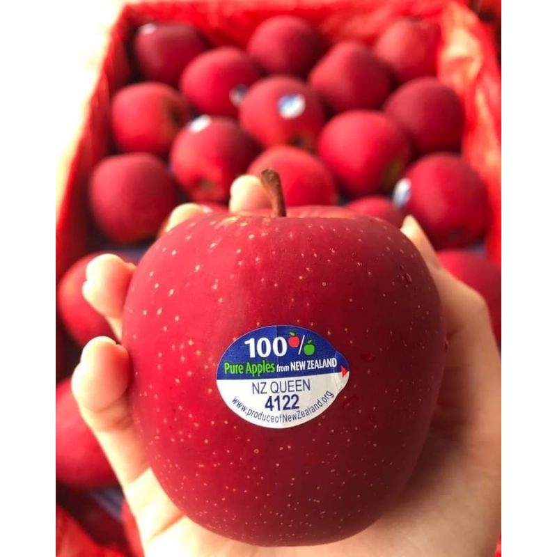 New Zealand Queen Apple (M) - 3 pcs | Shopee Malaysia