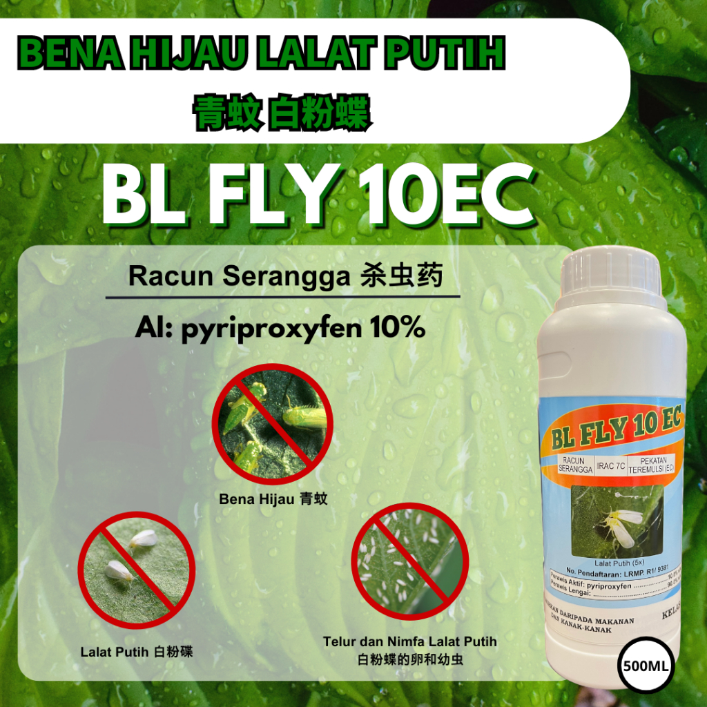 【BENA HIJAU /LALAT PUTIH】BL FLY 10EC 500ML Racun Serangga Perosak ...