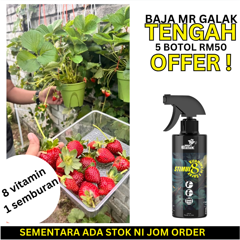 Baja MrGalak Semburan Subur Baja Subur Pokok Bunga Buah | Shopee Malaysia