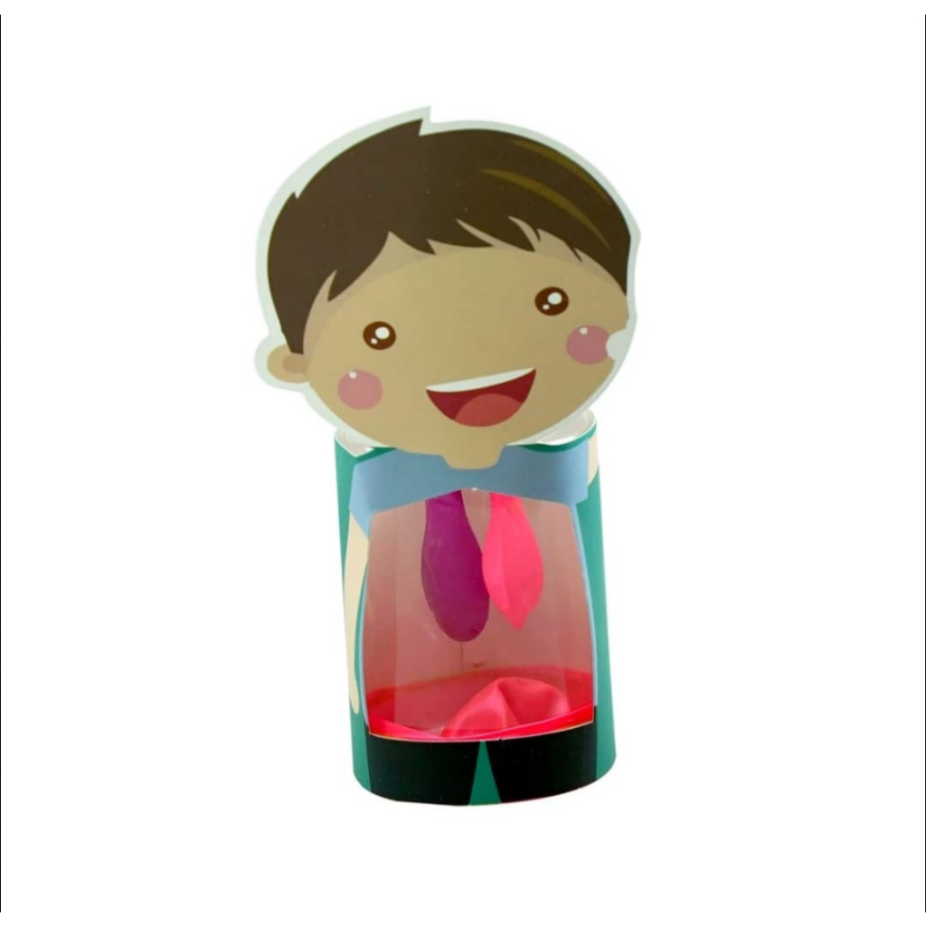 Human Respiratory System Lung Model Science Experiment/ Sistem ...