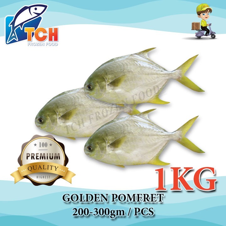 IKAN BAWAL MAS (200-300GM) , GOLDEN POMFRET, TCH FROZEN FOOD, FRESH ...