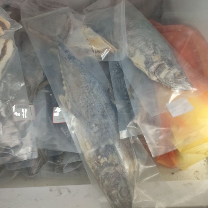 (500G 1KG) IKAN TENGGIRI BATANG (L) - tw kuantan | Shopee Malaysia