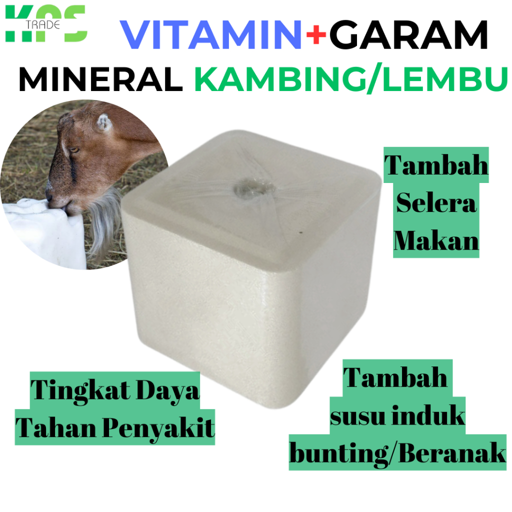 Vitamin + Blok Garam Ternakan Kambing Lembu Garam Jilatan Mineral Block ...