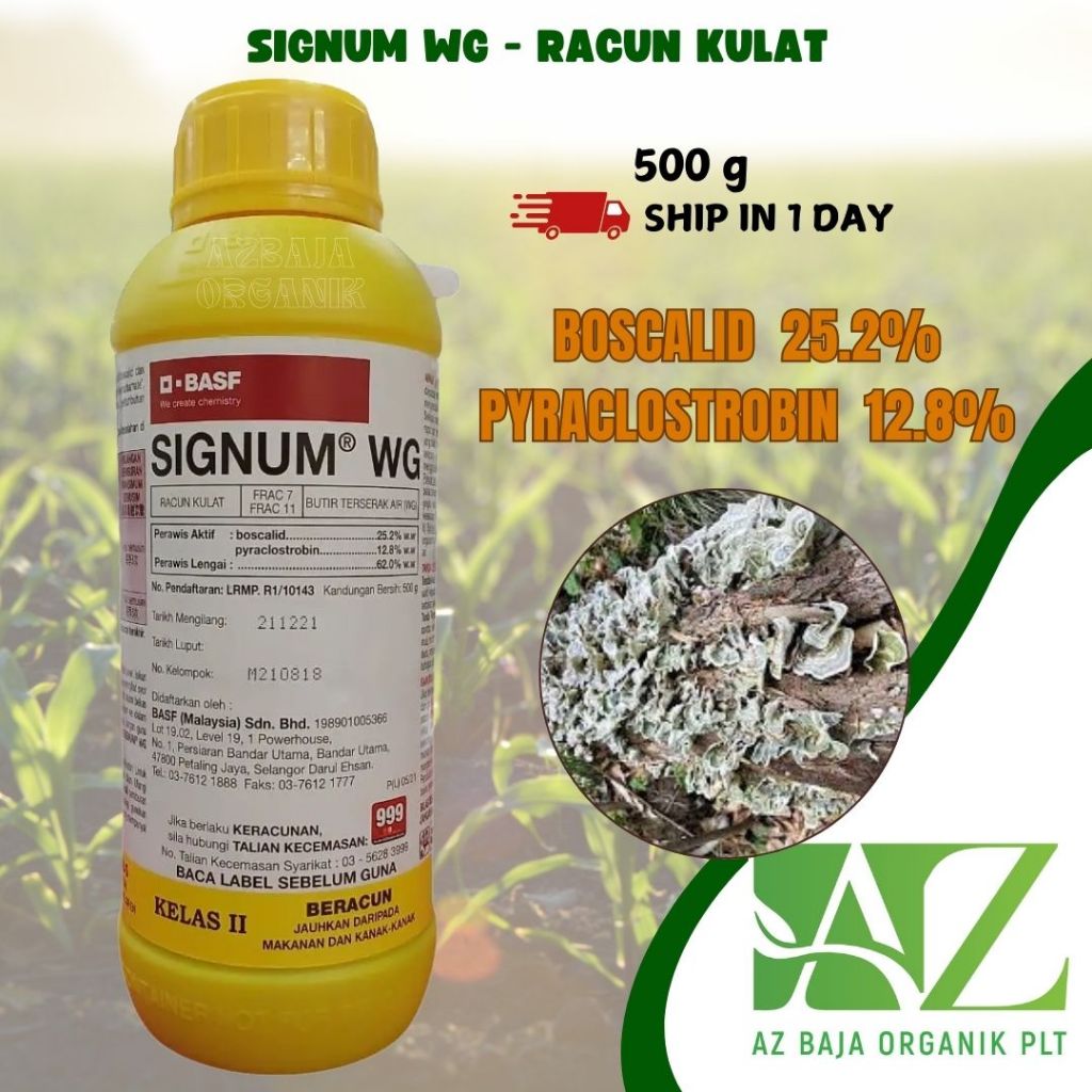 BASF + SIGNUM WG - RACUN KULAT/FUNGICIDE - REPUT LAPUK KELABU - 500 g ...