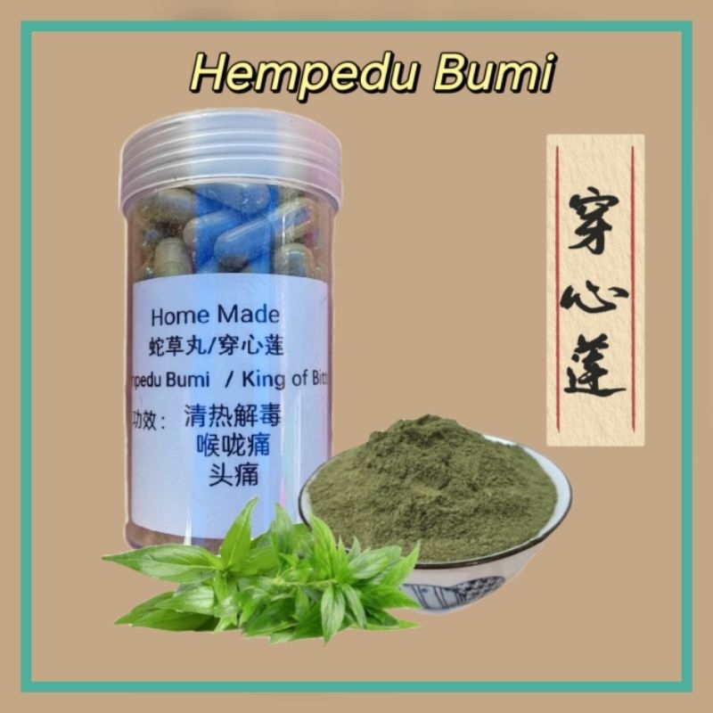 Hempedu Bumi 60 Big Capsule/穿心莲=蛇草丸 | Shopee Malaysia