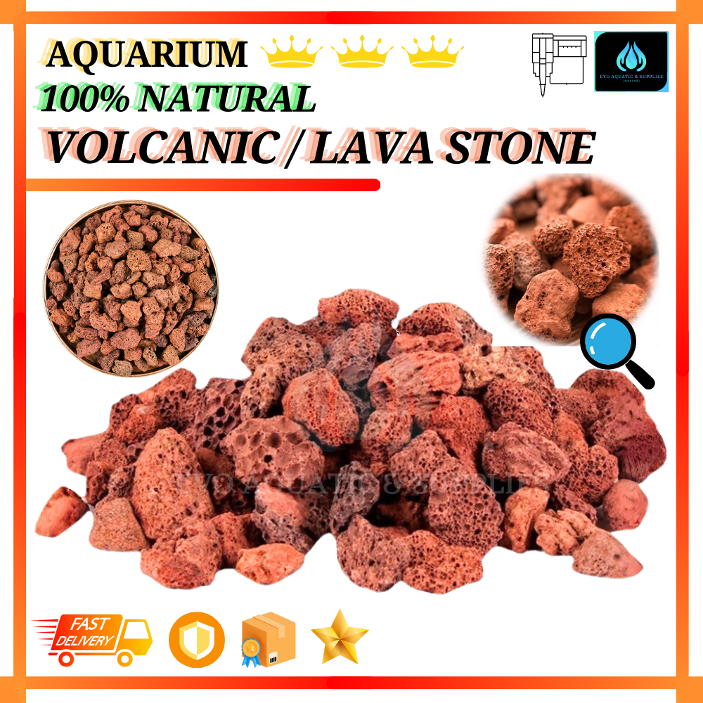 🔥READY STOCK🔥 Red Lava Rock Stone Volcanic Stone for Fish Tank Batu ...
