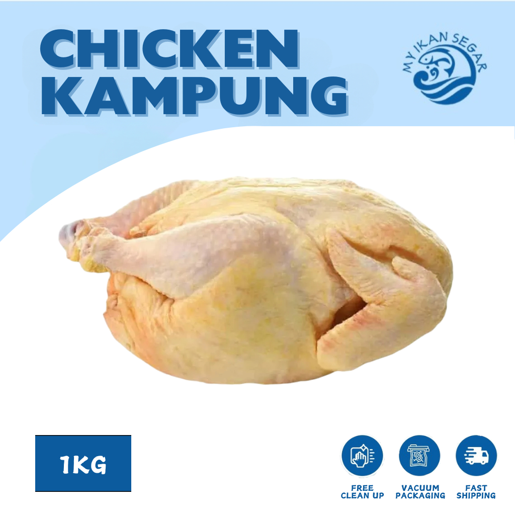 AYAM KAMPUNG 1 EKOR AYAM KAMPUNG FROZEN FOOD AYAM FROZEN FRESH 鸡肉 菜园鸡 ...