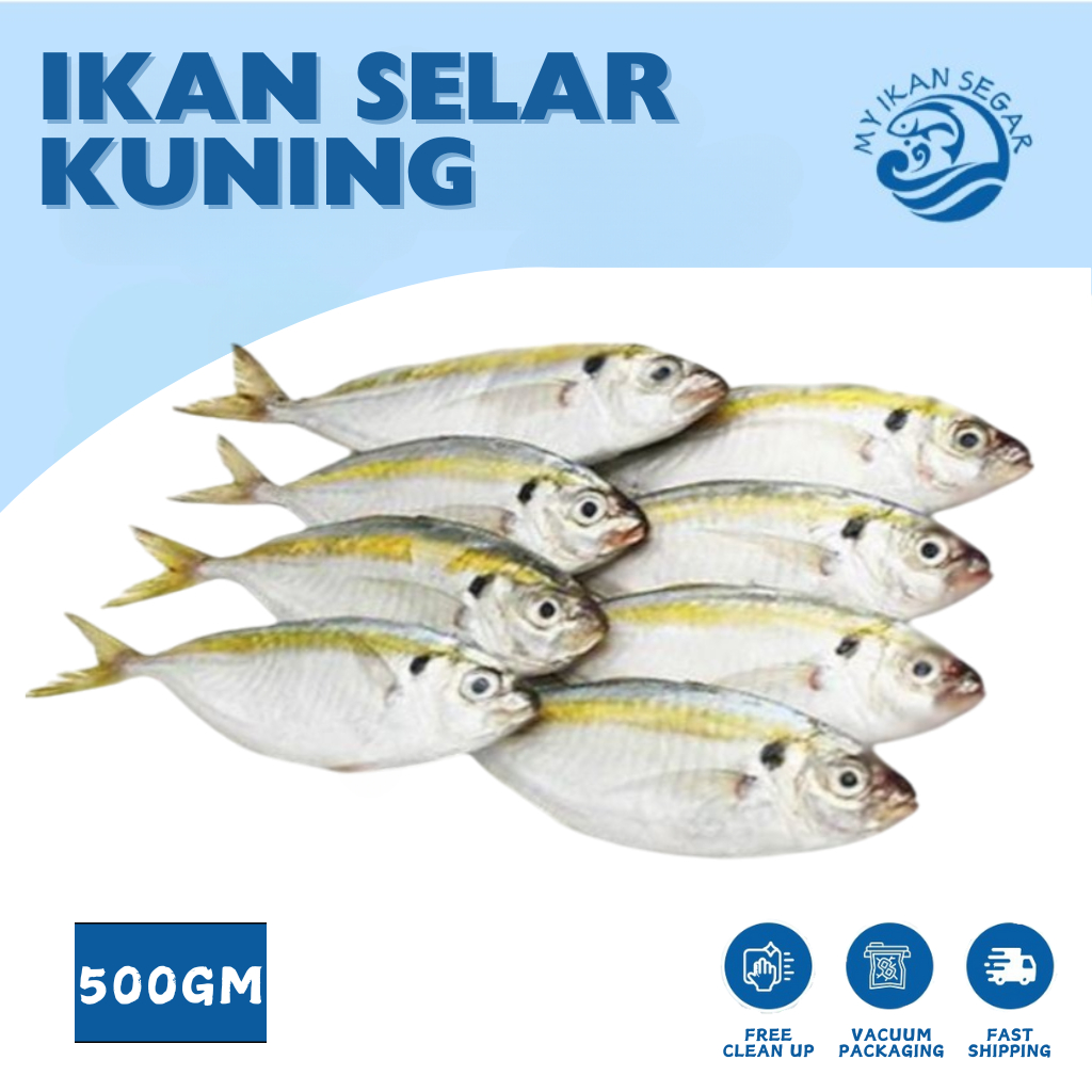 IKAN SELAR KUNING 500G/1KG (SIAP SIANG & CUCI) IKAN MURAH IKAN SEGAR ...