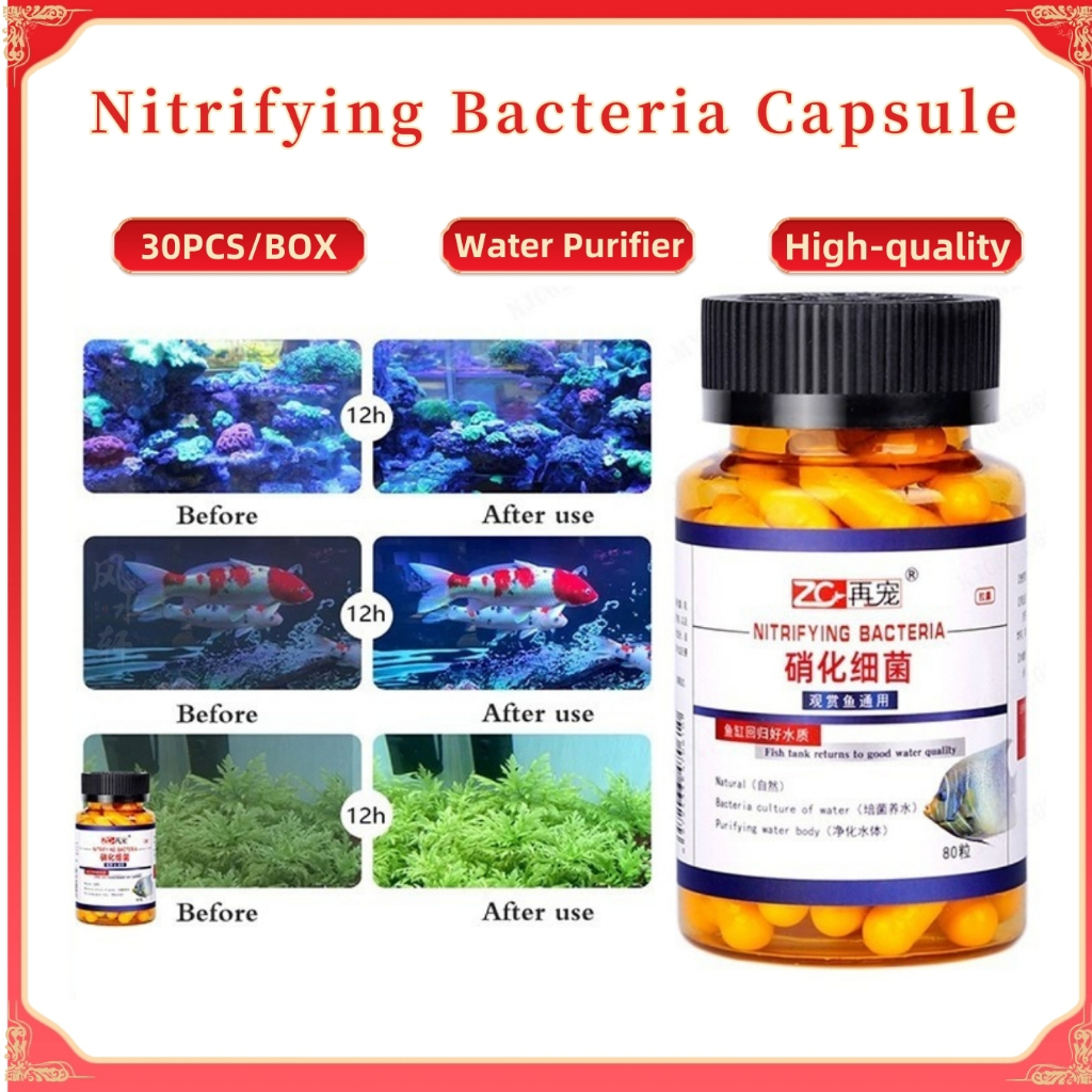 Nitrifying Bacteria Capsule 30Pcs Nitrobacter Clear Water Fish Tank ...