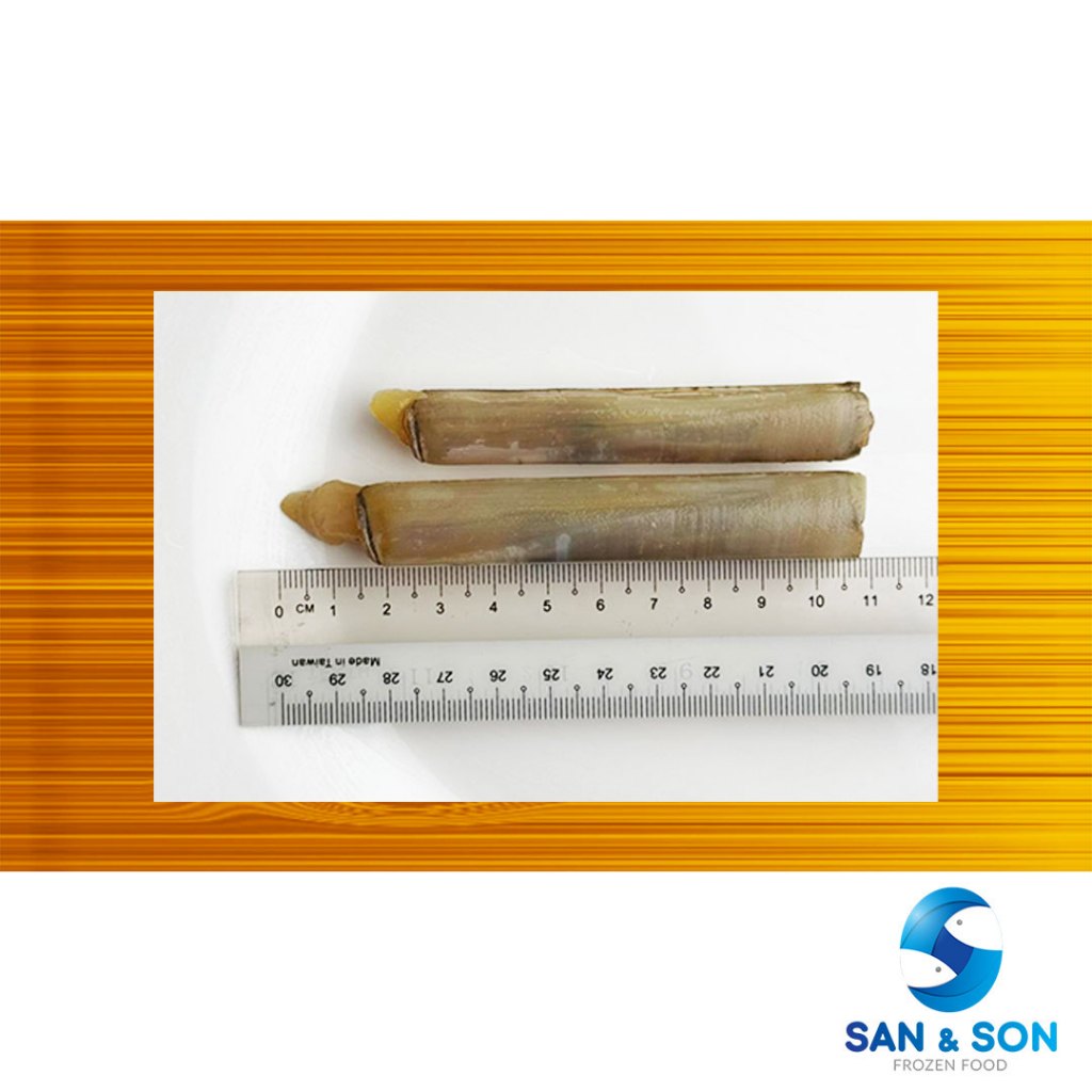Bamboo Clam / Siput Buluh (Size 8/10) 1kg / box San & son | Shopee Malaysia