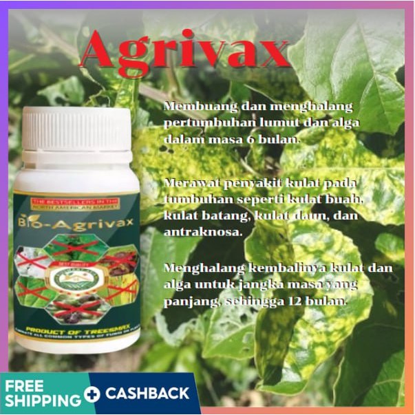 AGRIVAX 100ml - Racun kulat super - Racun kulat selamat untuk tanaman ...