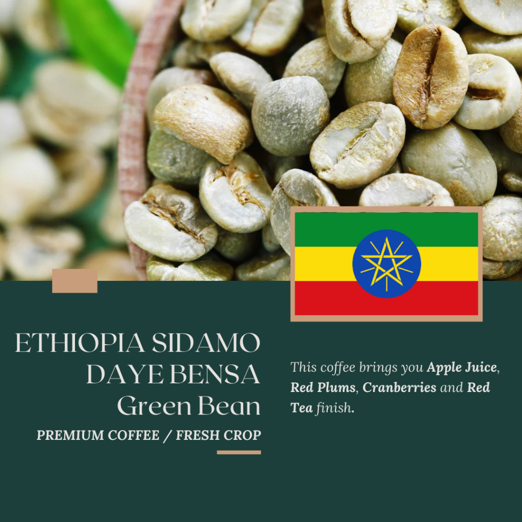 [FRESH CROP] Roast & Brew Co. Premium Grade Ethiopia Sidamo Daye Bensa Green Coffee Bean ...