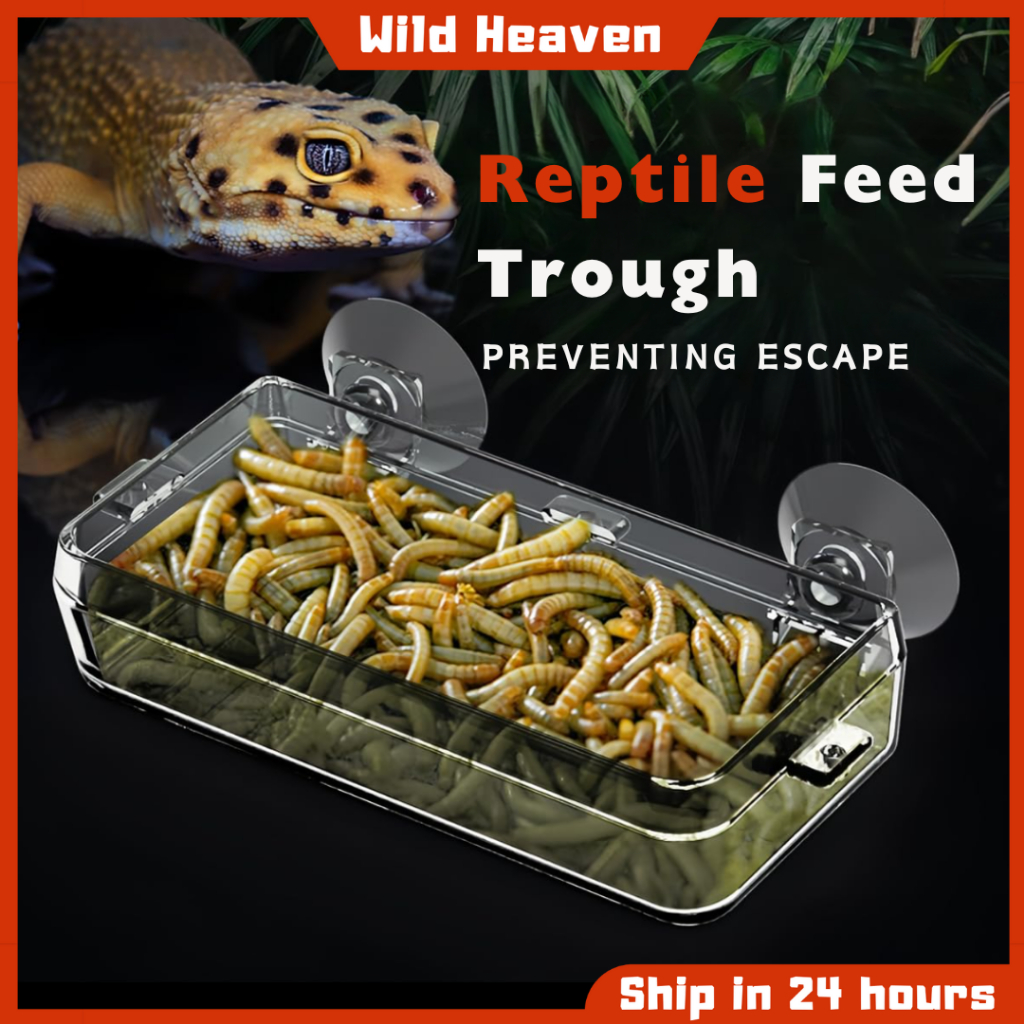 Reptile Worm Dish Feeder Feeding Food Water Bowl Plate Anti-escape ...