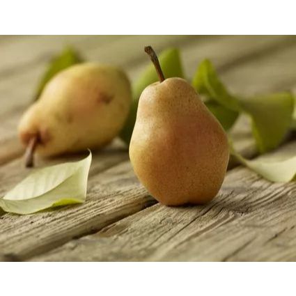 South Africa Forella Pear 4pcs (m) | Shopee Malaysia