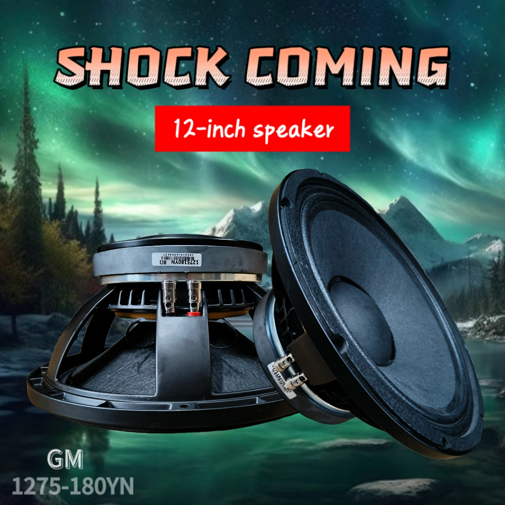 12-inch Mid-bass Full-range High-power KTV Stage Performance Speaker ...