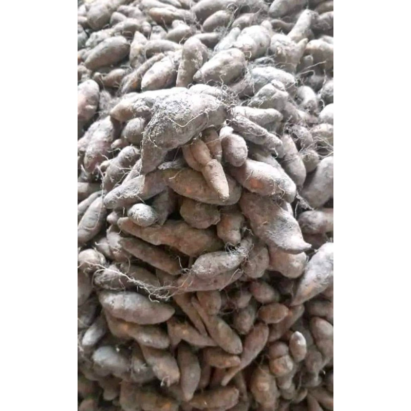 UBI KELING,UBI KEMILI,UBI KAYU | Shopee Malaysia