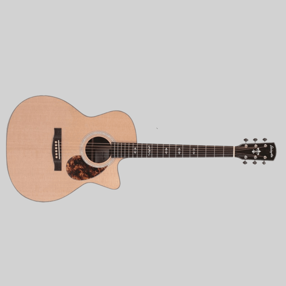 Livingston AC-20 EQ Grand Auditorium 41" Full Solid Acoustic Guitar ...