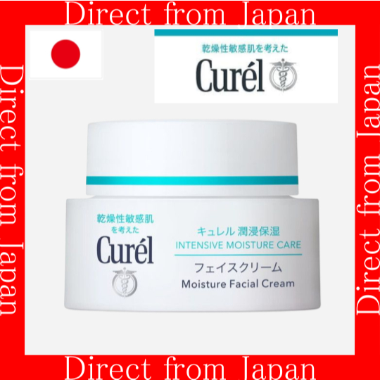 【Direct From Japan】Curel Moisture Ceramide Cream 40g | Sensitive Skin ...