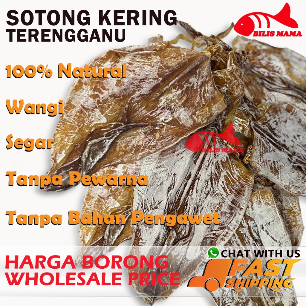 Sotong Kering Besar Dried Cuttlefish Premium GRED A Sotong Kering ...
