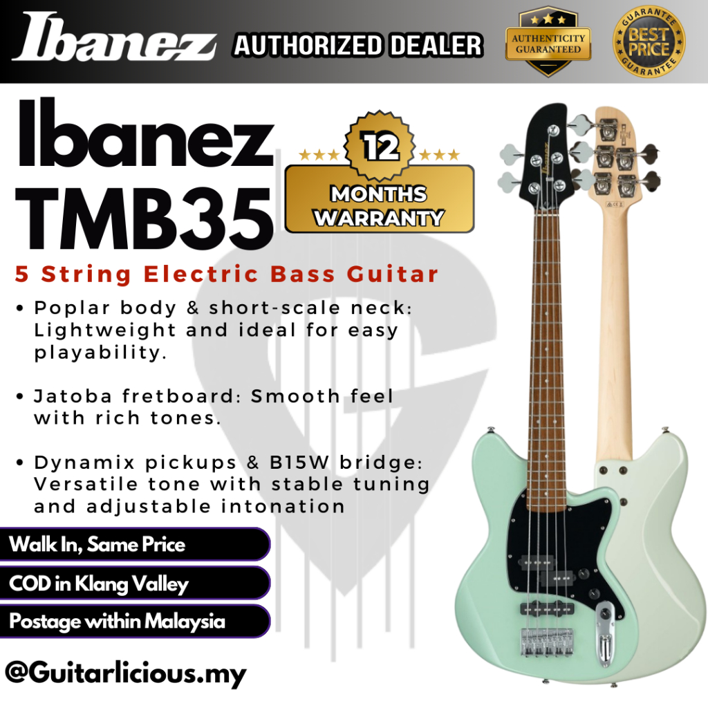 Ibanez TMB35 Talman Bass Series 5-String Electric Bass - Mint Green ...