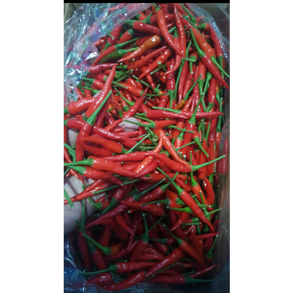 (PEDAS GILA) Cili Padi Merah 200g (Vietnam) 越南红米椒 200克 | Shopee Malaysia