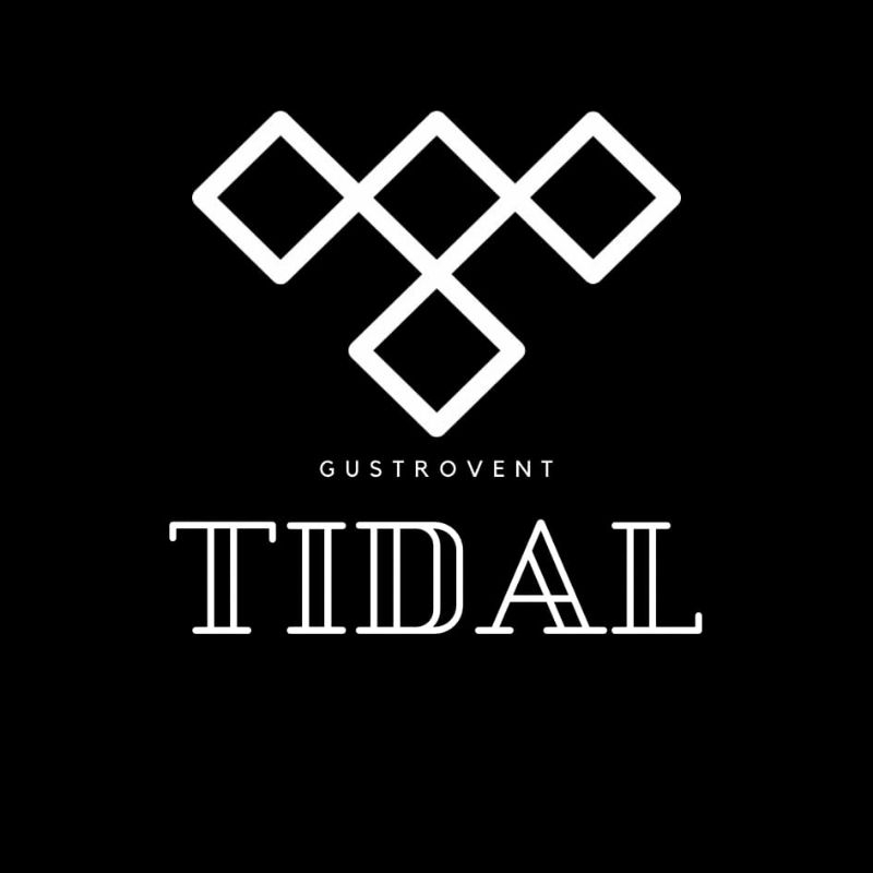 Tidal Hifi Master Sound Quality | Shopee Malaysia