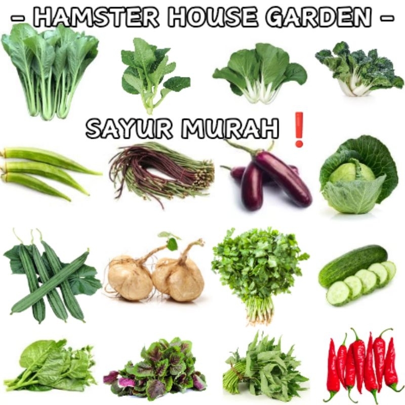 HSK PELBAGAI JENIS BIJI BENIH SAYUR BUAH KACANG MINI PACK MURAH READY ...