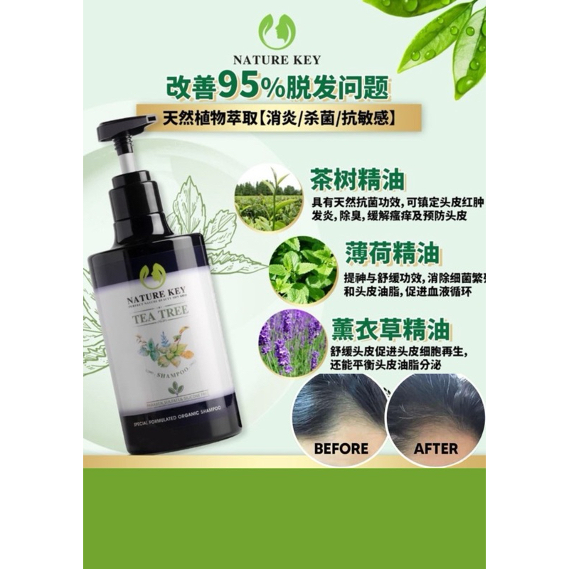Nature key tea tree shampoo 500ml | Shopee Malaysia