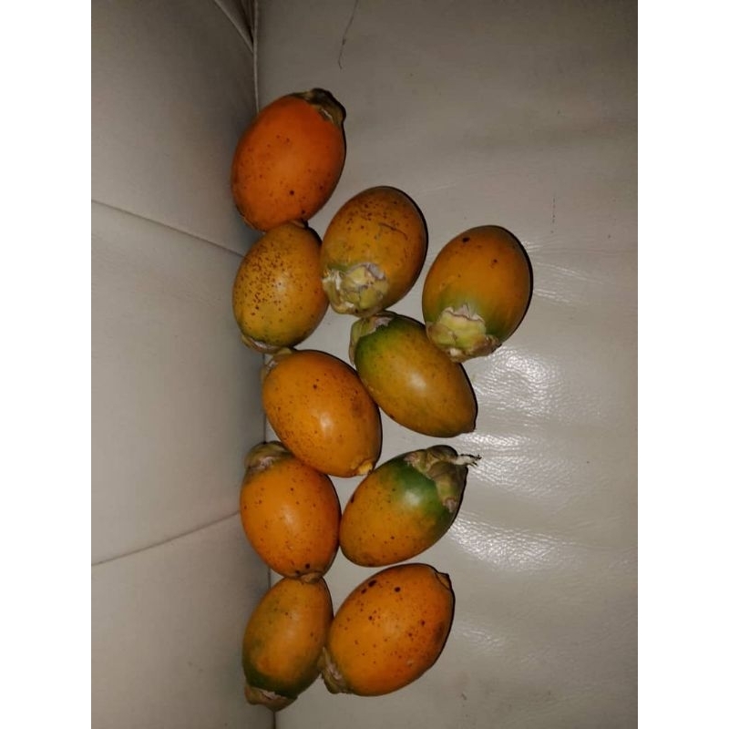 Buah pinang masak kuning 10 biji | Shopee Malaysia