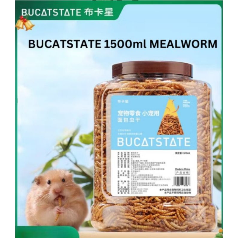 Bucatstate mealworm Dried mealworm Bread Worm (repack) | Shopee Malaysia