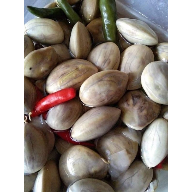petai jeruk fresh 500 gram. | Shopee Malaysia
