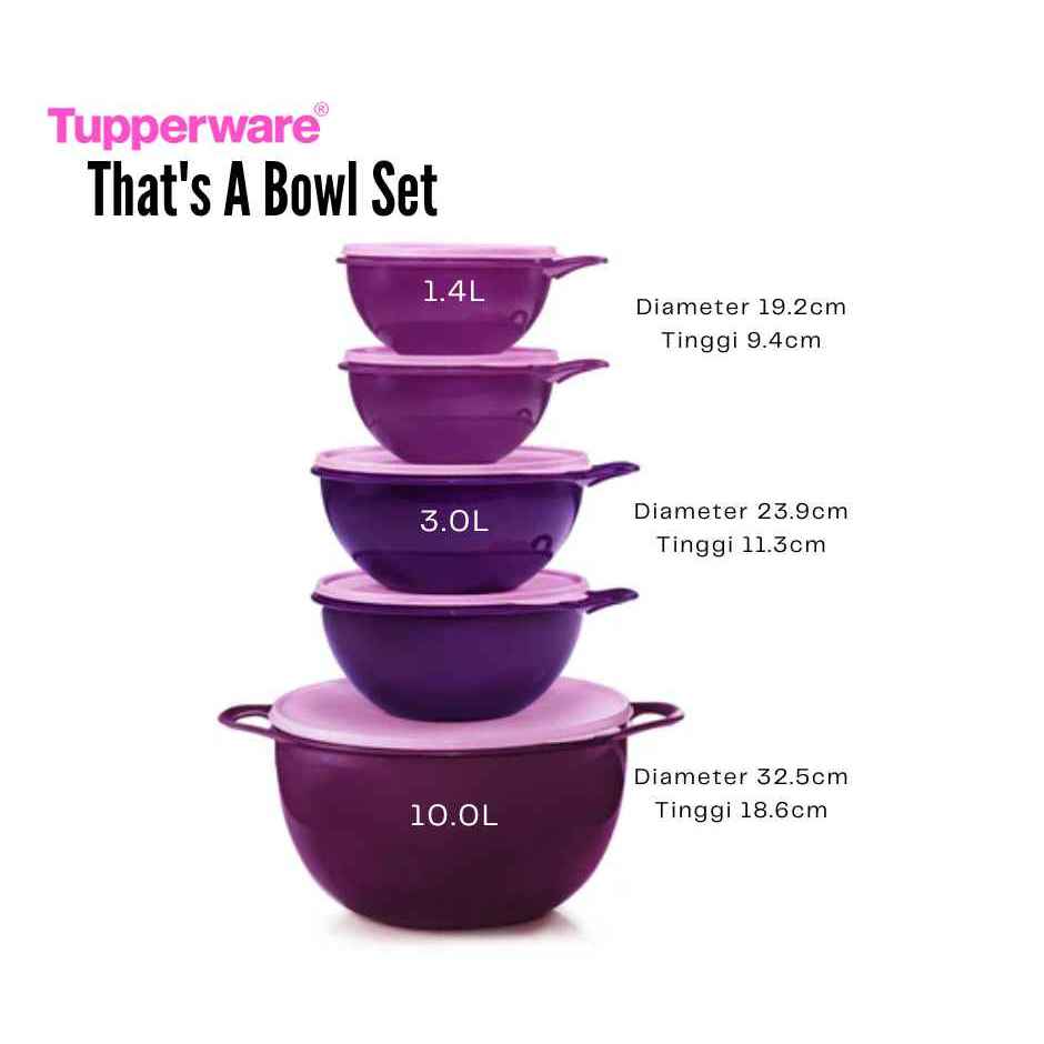 Tupperware That's A Bowl Set Pink / Blue / Purple Large Food Container ...