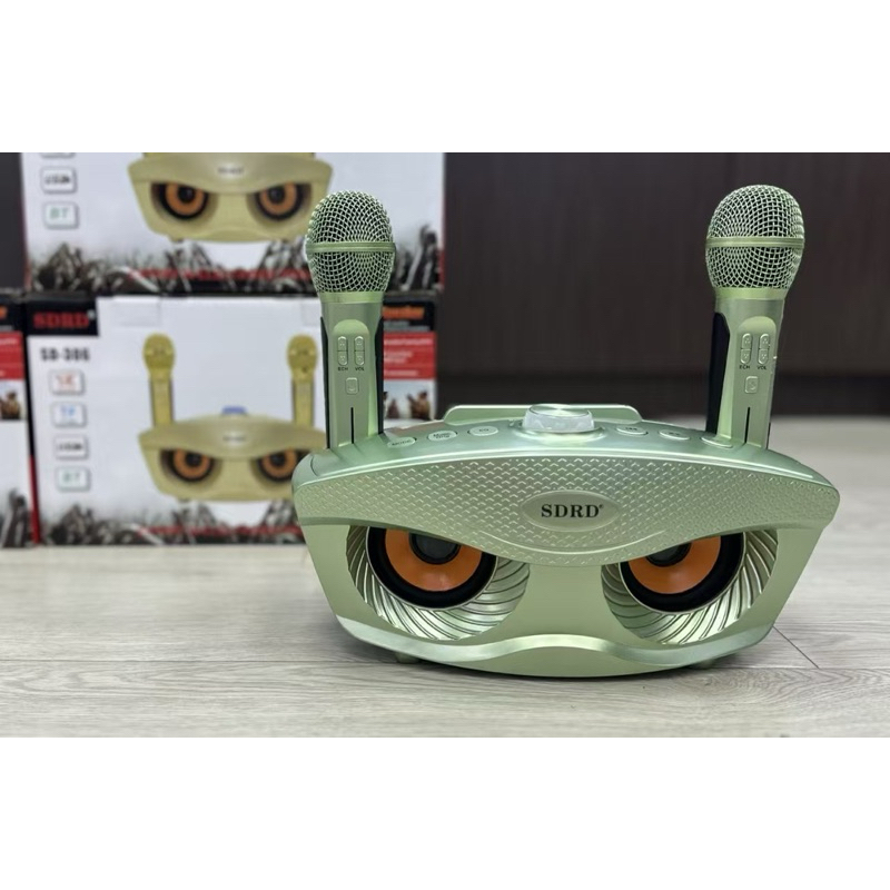 SDRD 306 FAMILY BLUETOOTH KARAOKE SPEAKER WITH 2 WIRELESS MICROPHONE ...