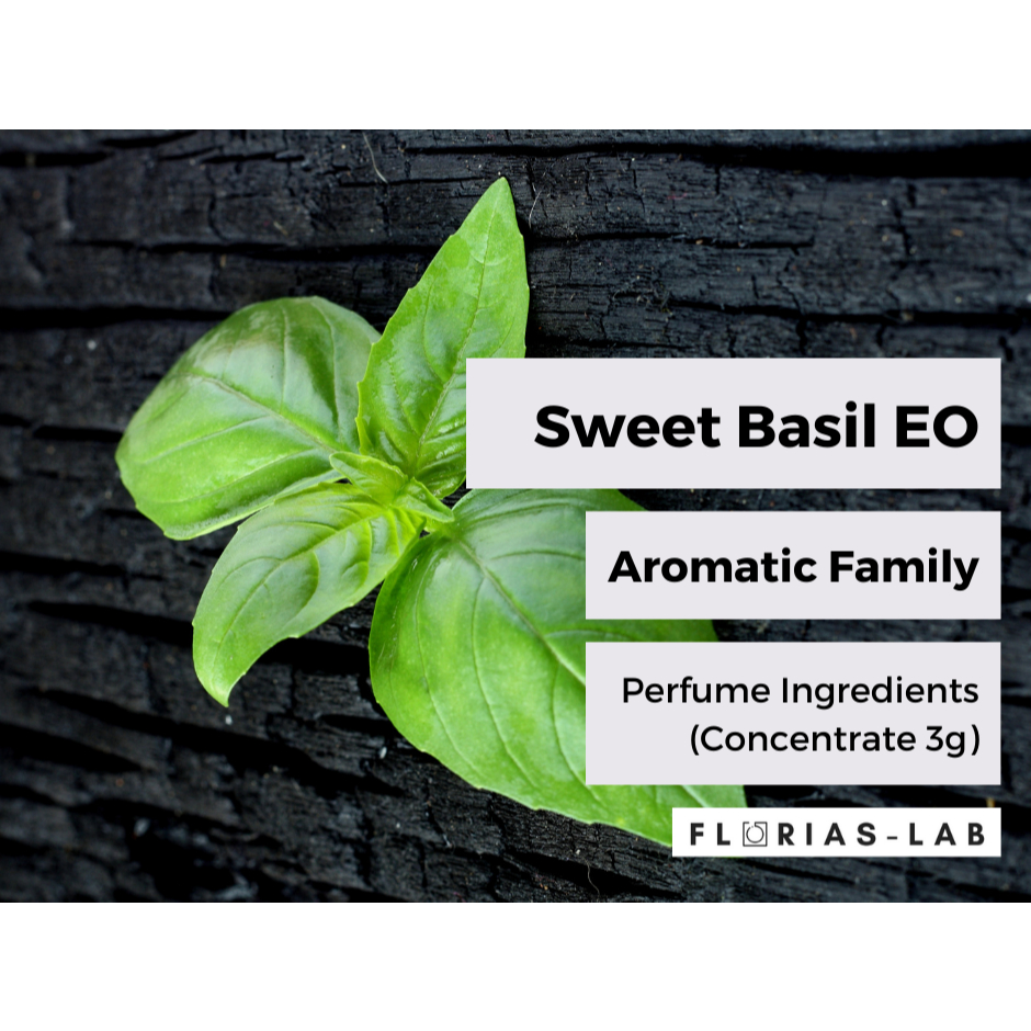 Florias-Lab | Sweet Basil Essential Oil (3g) | Aromatic Perfume ...