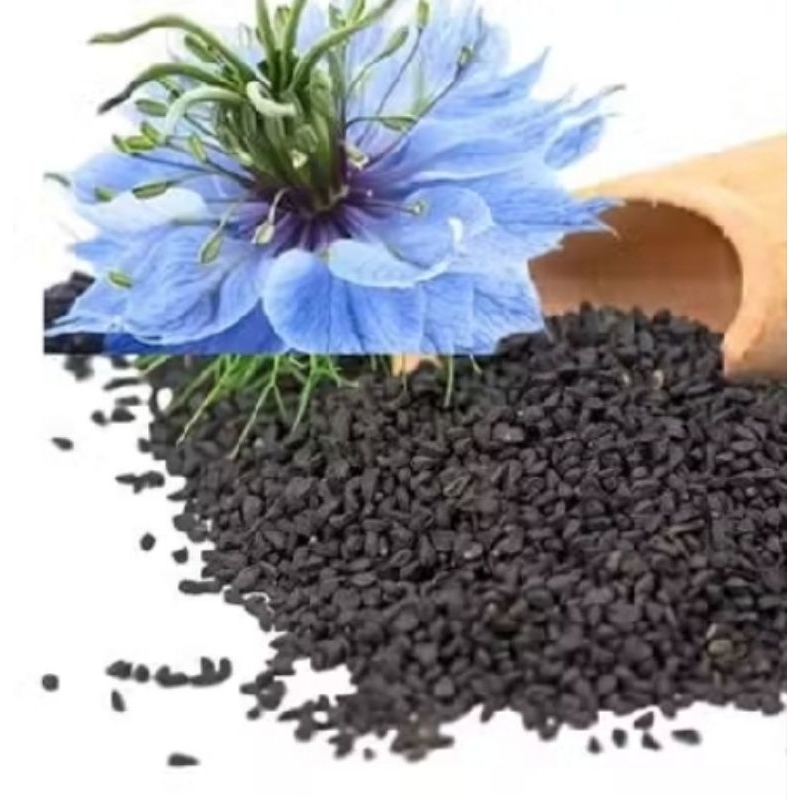 habbatus sauda biji/ black seed gred A | Shopee Malaysia