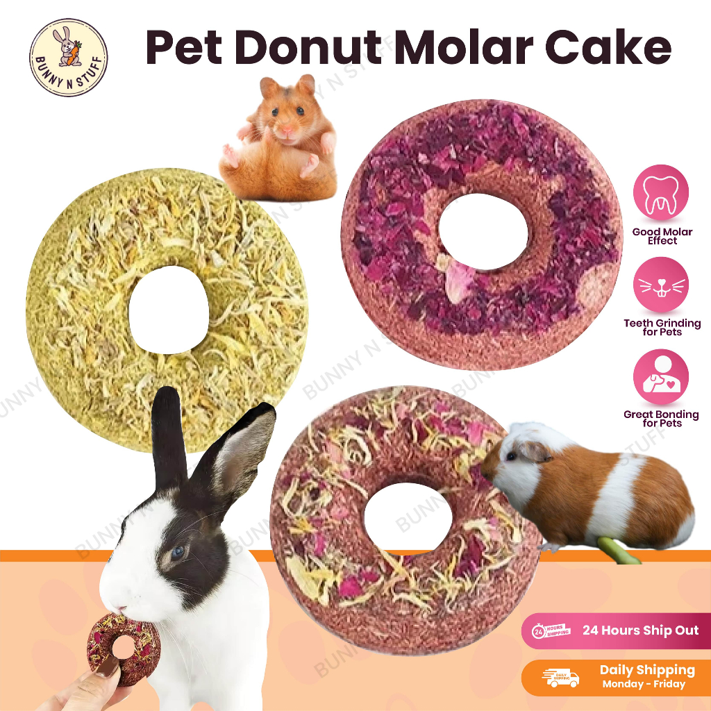 Pet Rabbit Donut Molar Cake Fruit Oat Grass Cake Rabbit Chinchilla ...