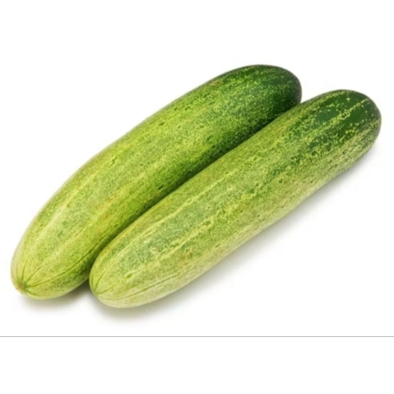 Timun Batang/Timun Baby Fresh/Timun Mini/Ulam/Mini Cucumber Fresh ...