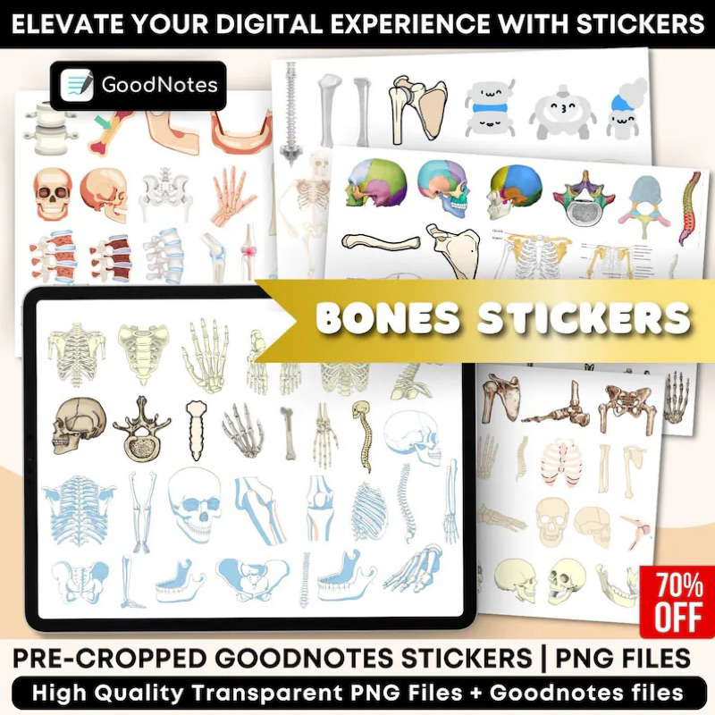 Digital Bones Stickers, Anatomy & Physiology Stickers, Human Body ...