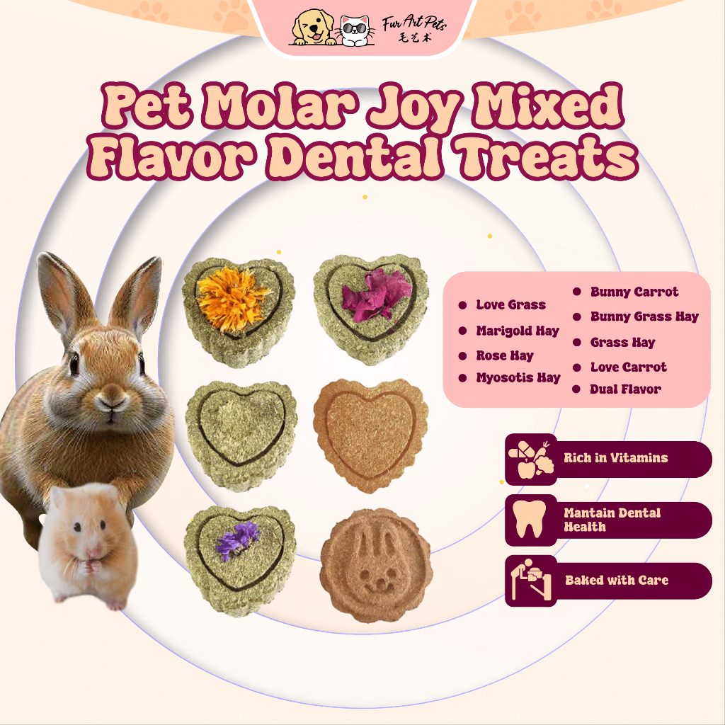 Pet Molar Joy-Mixed Flavor Dental Treats Small Pets- for Rabbits ...