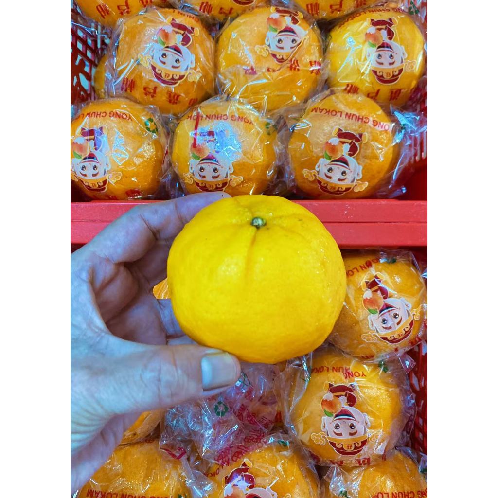Lokam Mandarin Limau 3KG ( Size L ) 14 ~18 bijih Segar dan Manis , 精选芦柑 ...