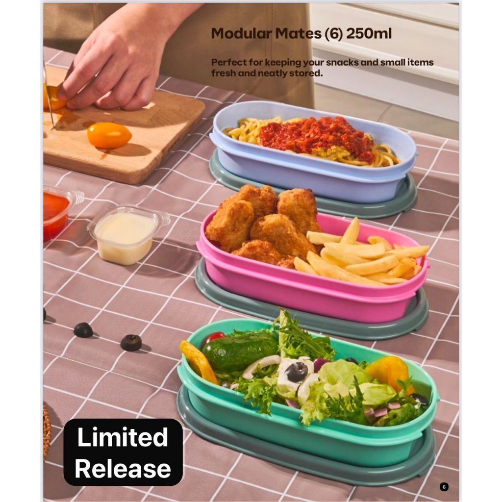 H2072 Tupperware Slim oval keeper 300ml/ Tupperware Modular Mates 250ml ...