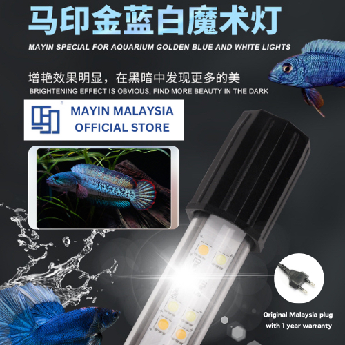 Mayin Super Magic Light Betta/Channa/MGBB Golden Arowana Blue/White ...